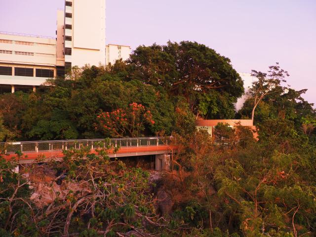 Foot bridge across Waterfall | Gwulo